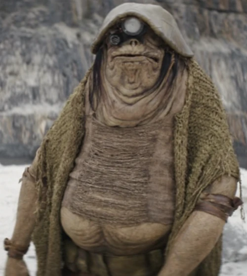 Dewi Pamular | Wookieepedia | Fandom