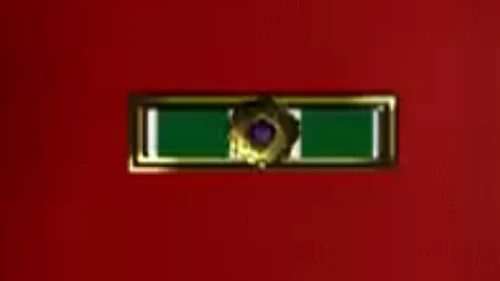 Group Commander Citation | Wookieepedia | Fandom