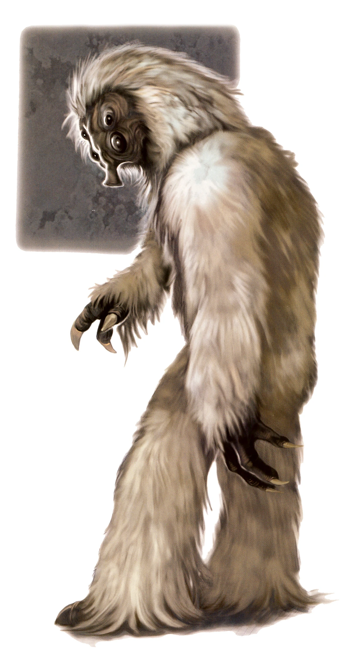 Talz | Wookieepedia | Fandom