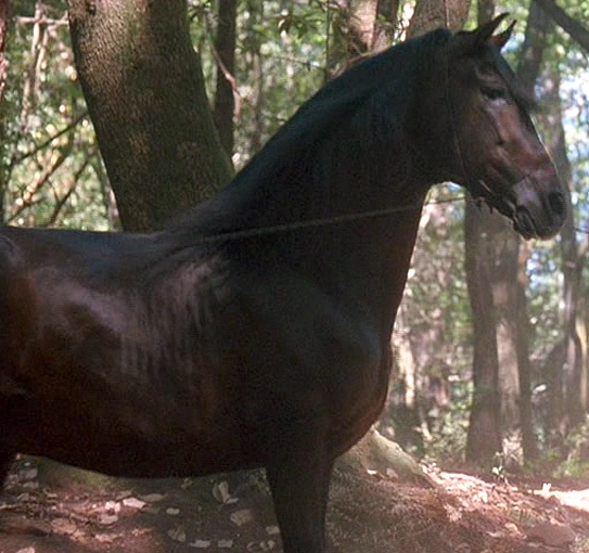Charal's stallion | Wookieepedia | Fandom