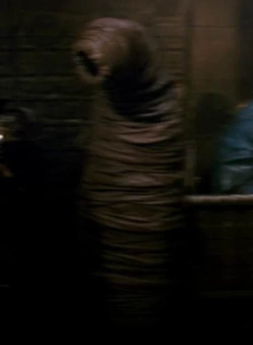 Unidentified worm-like species | Wookieepedia | Fandom