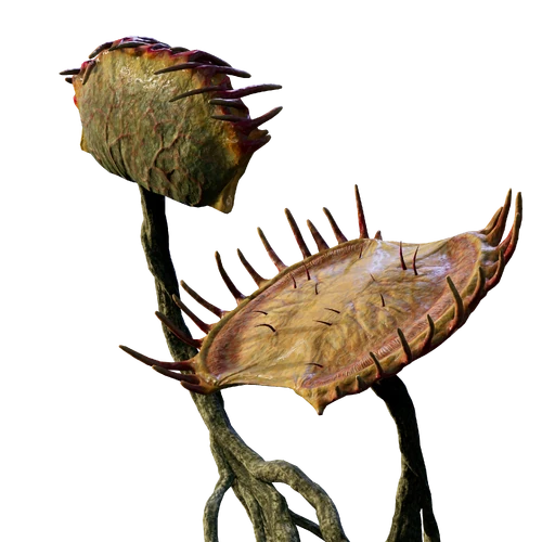 Jaw plant | Wookieepedia | Fandom