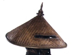 笠 | Wookieepedia | Fandom