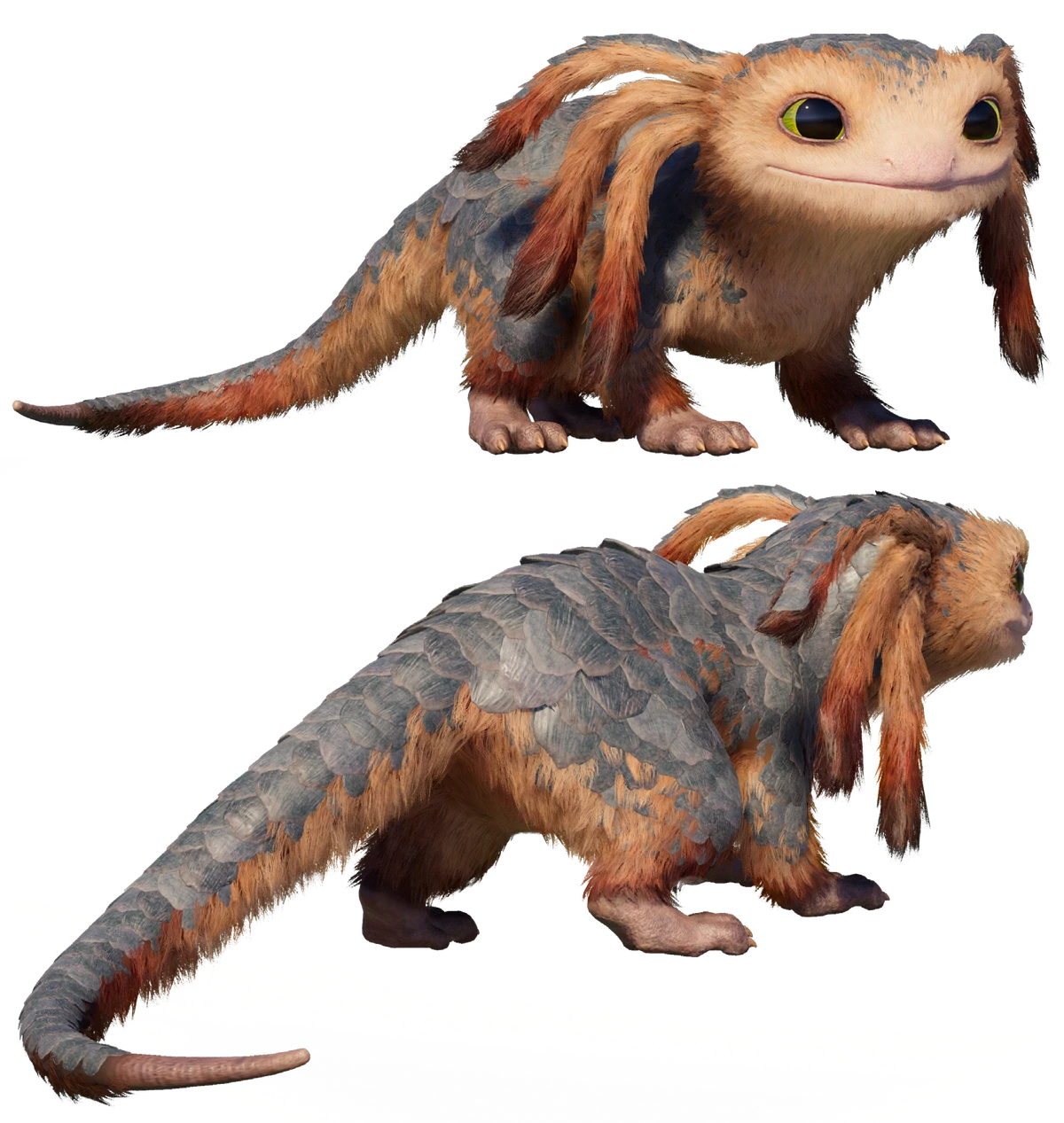 Merqaal | Wookieepedia | Fandom