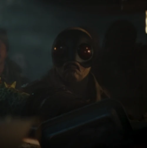 Unidentified bald species | Wookieepedia | Fandom