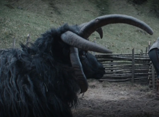 Dray | Star Wars Wiki | Fandom