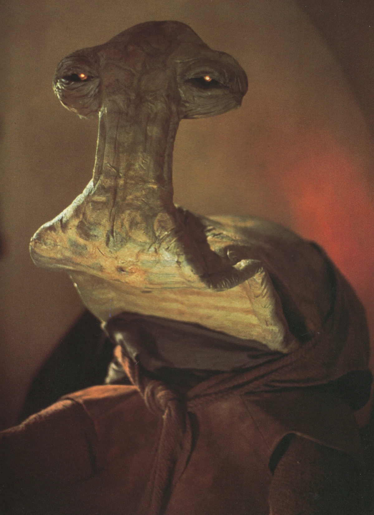 Musings of an Ithorian | Wookieepedia | Fandom