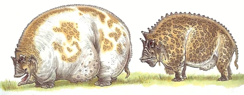 Grazer (Alderaan) | Wookieepedia | Fandom