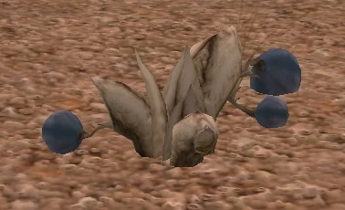 Low growing weed | Wookieepedia | Fandom