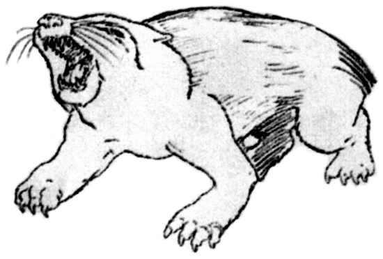 Ikov | Wookieepedia | Fandom