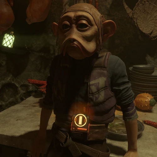 Unidentified Sullustan Rokana Raider (meal vote) | Wookieepedia | Fandom