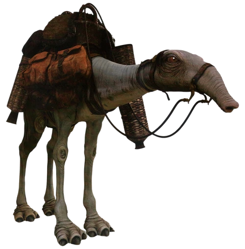 Eopie | Wookieepedia | Fandom