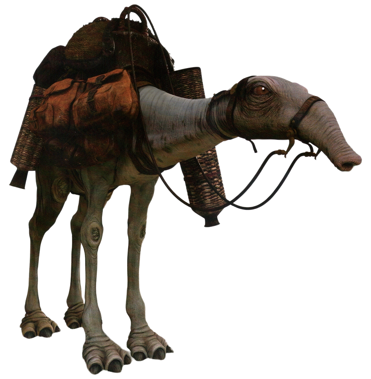 Eopie | Wookieepedia | Fandom