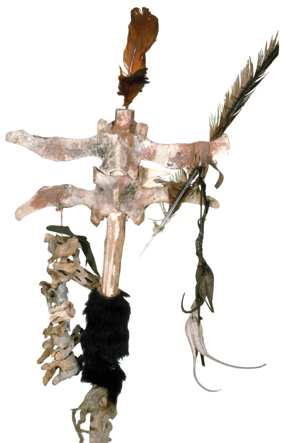 Staff of power | Wookieepedia | Fandom