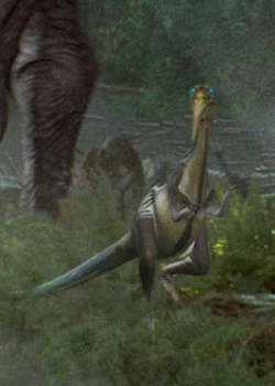 Pikobis | Star Wars Wiki | Fandom