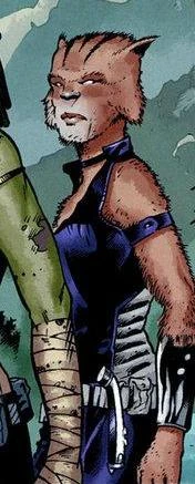 Unidentified felinoid female Mandalorian Knight | Wookieepedia | Fandom