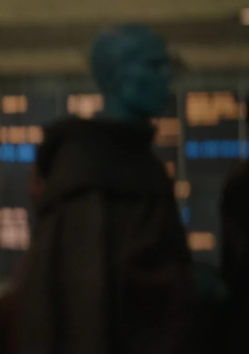 Unidentified bald blue-skinned species | Wookieepedia | Fandom
