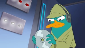 Perry (Platypus) | Wookieepedia | Fandom