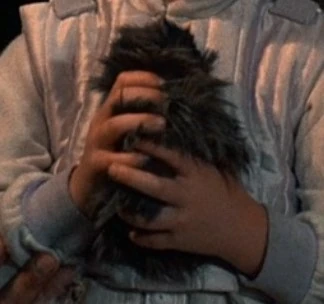 Unidentified furry Endorian creature | Wookieepedia | Fandom