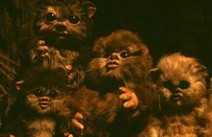 Nippet | Wookieepedia | Fandom