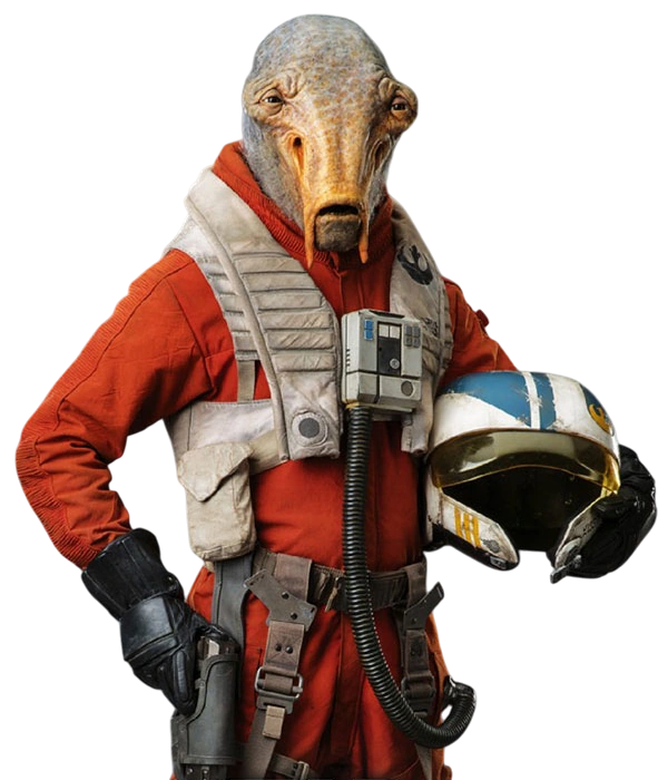 Red Three | Wookieepedia | Fandom