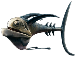 Ray | Wookieepedia | Fandom