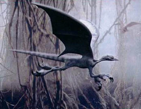 Bogwing | Star Wars Wiki | Fandom