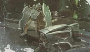 Mandalorian Guard | Wookieepedia | Fandom