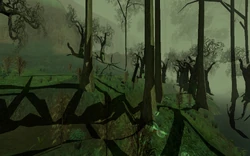 Great Canyon (Dathomir) | Wookieepedia | Fandom