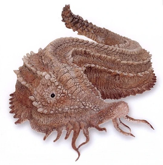 Duracrete Slug | Star Wars Wiki | Fandom