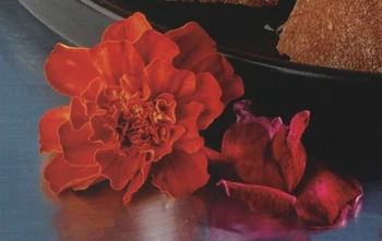 Millaflower | Wookieepedia | Fandom