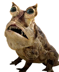 Ikk | Wookieepedia | Fandom