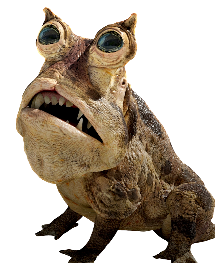 Ikk's frogdog | Wookieepedia | Fandom