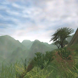 Valley View | Wookieepedia | Fandom