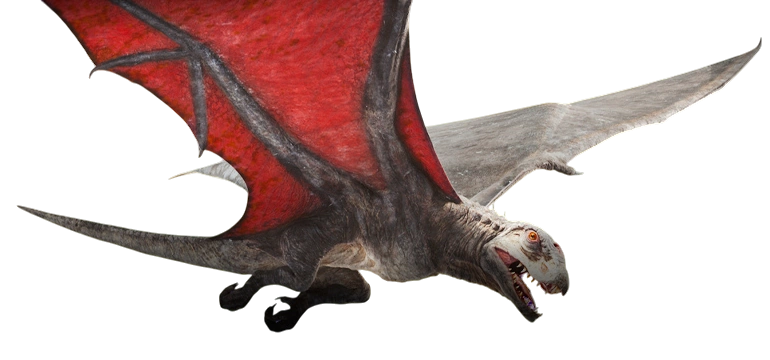 Shriek-hawk | Wookieepedia | Fandom