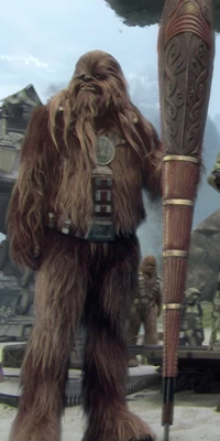Shield (physical armor) | Wookieepedia | Fandom