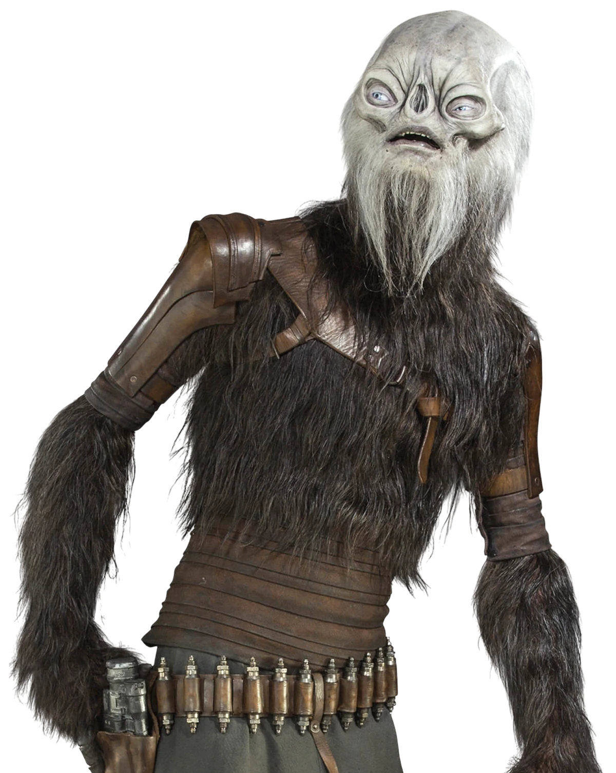Meftian | Wookieepedia | Fandom
