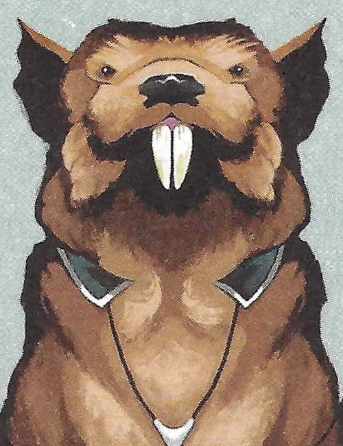 Tynnan | Wookieepedia | Fandom