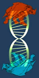 Double Helix | Wookieepedia | Fandom