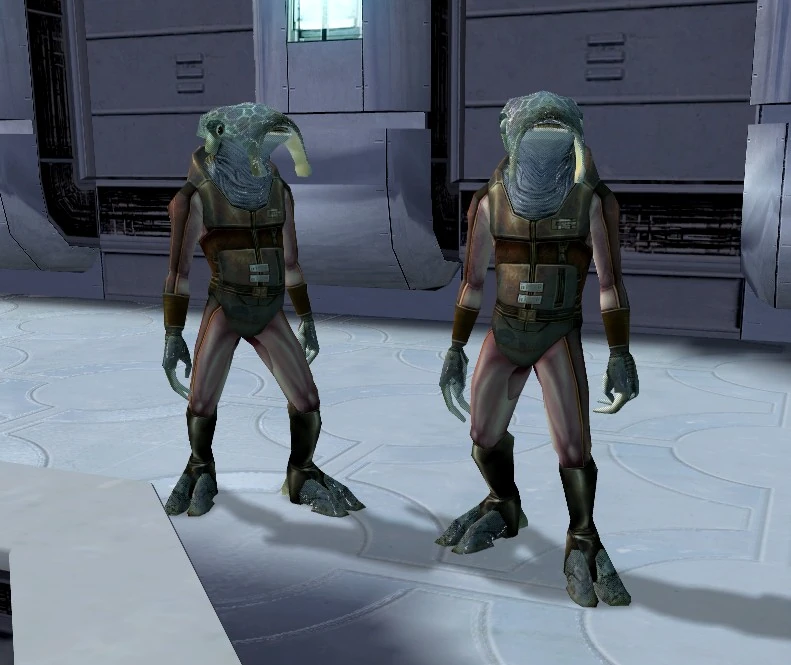 Selkath Security Forces | Wookieepedia | Fandom