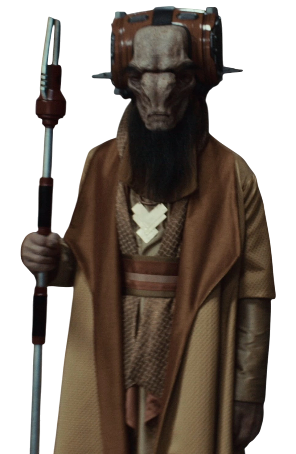 Unidentified wide-nosed species | Wookieepedia | Fandom