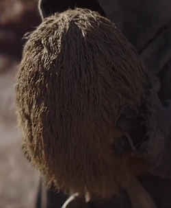 Sooga | Star Wars Wiki | Fandom