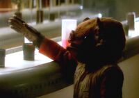 Kabe | Wookieepedia | Fandom