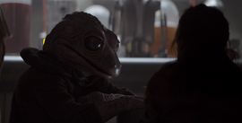 Frog Lady | Wookieepedia | Fandom