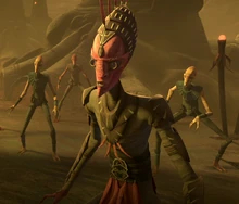 Skako Minor | Wookieepedia | Fandom