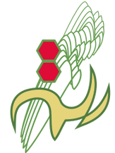 Slayn & Korpil | Wookieepedia | Fandom