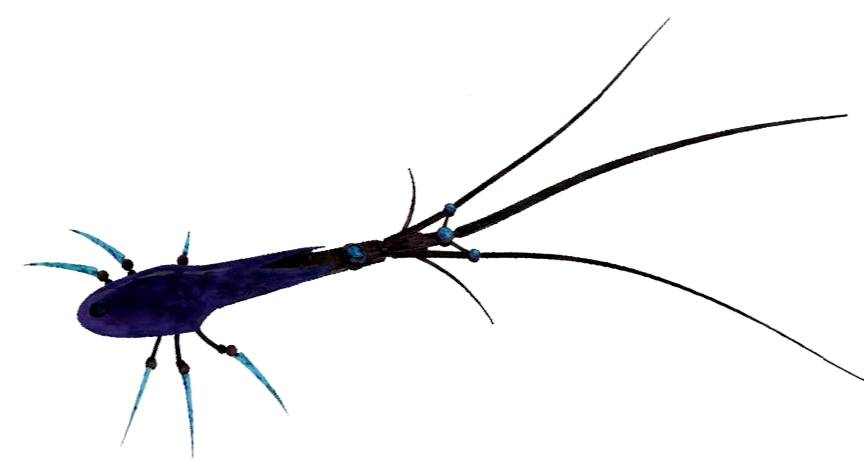 Scutiger-100 stealth droid | Wookieepedia | Fandom
