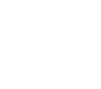 Saber Interactive | Wookieepedia | Fandom