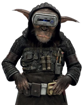 star wars monkey