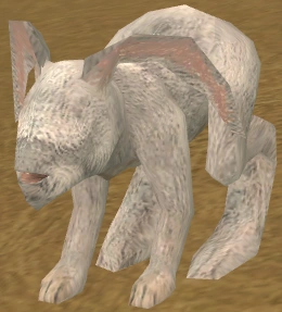 Durni | Wookieepedia | Fandom